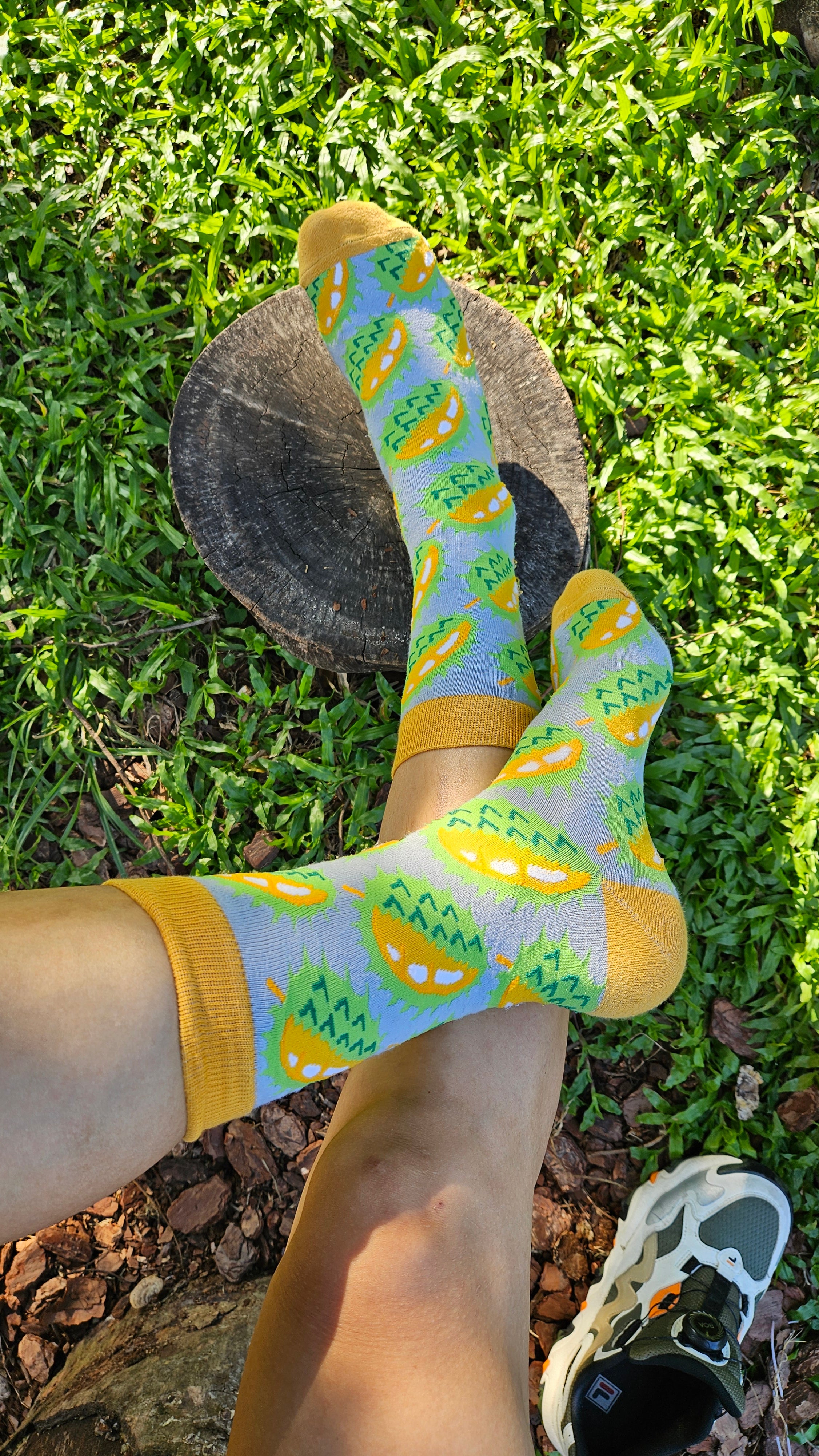Singapore Fruits Series Durian Socks – Cat Socrates Online